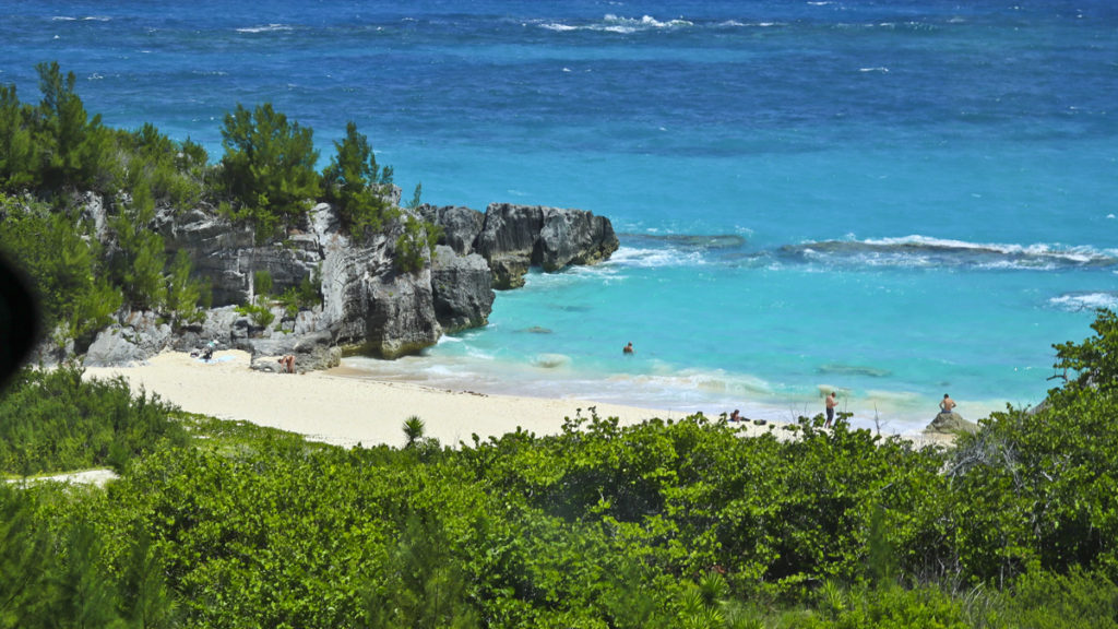 ultimate-abyss-photo-by-wallace-immen_0575 | The Cruisington Times